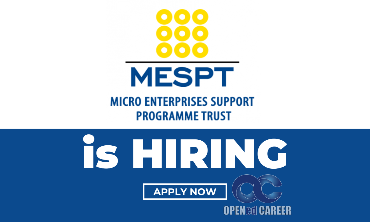 Credit Data Analytics and Systems Officer at Micro Enterprises Support ...